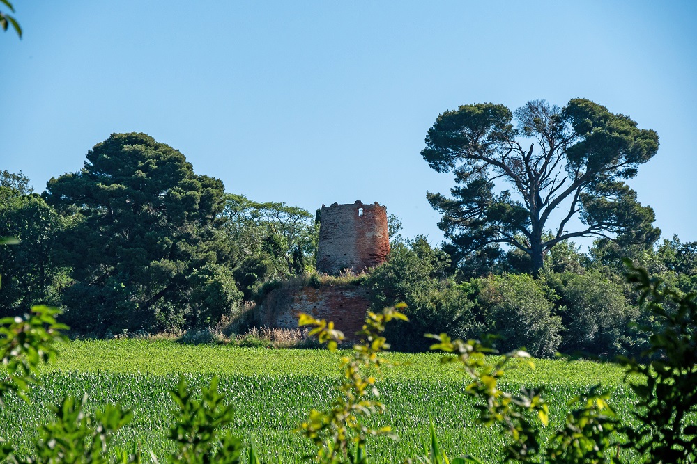 MONTLAUR - Communauté d'agglomération du Sicoval